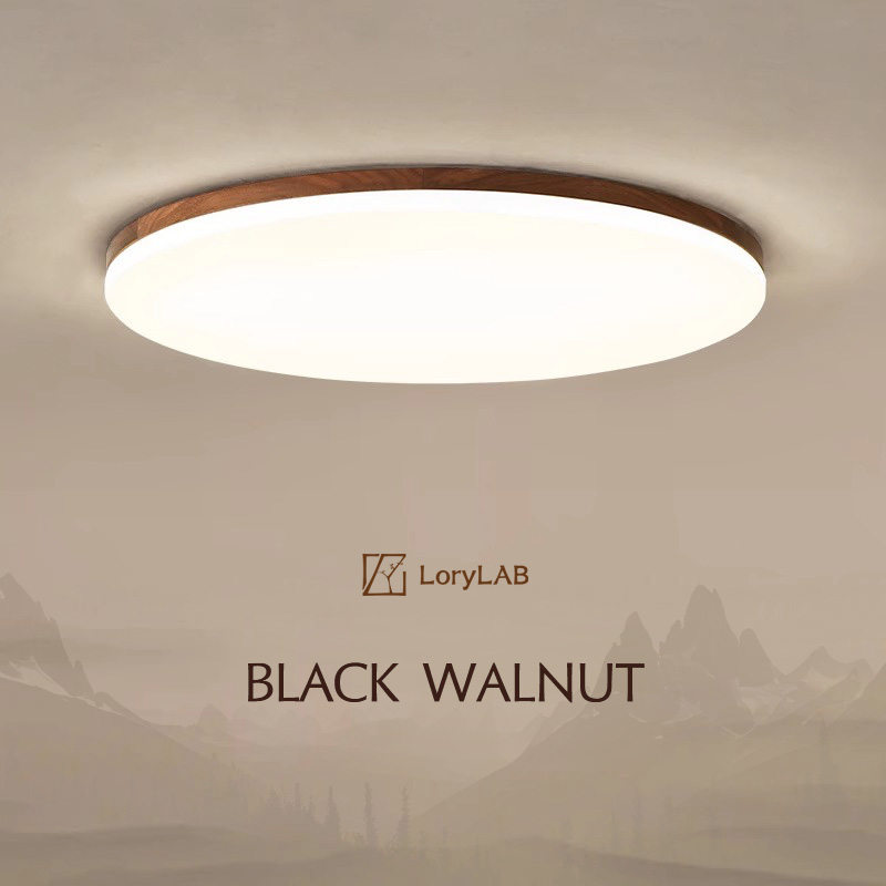 Walnut wood Bedroom Flush Mount, Modern Minimalism Wabi-sabi, Ultrathin eye protection Ceiling ...