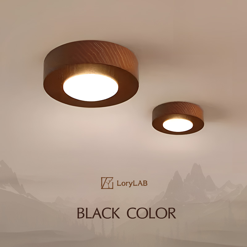 Walnut Wood Brass Downlight Ceiling Light Fixture, Spotlight for Living ...